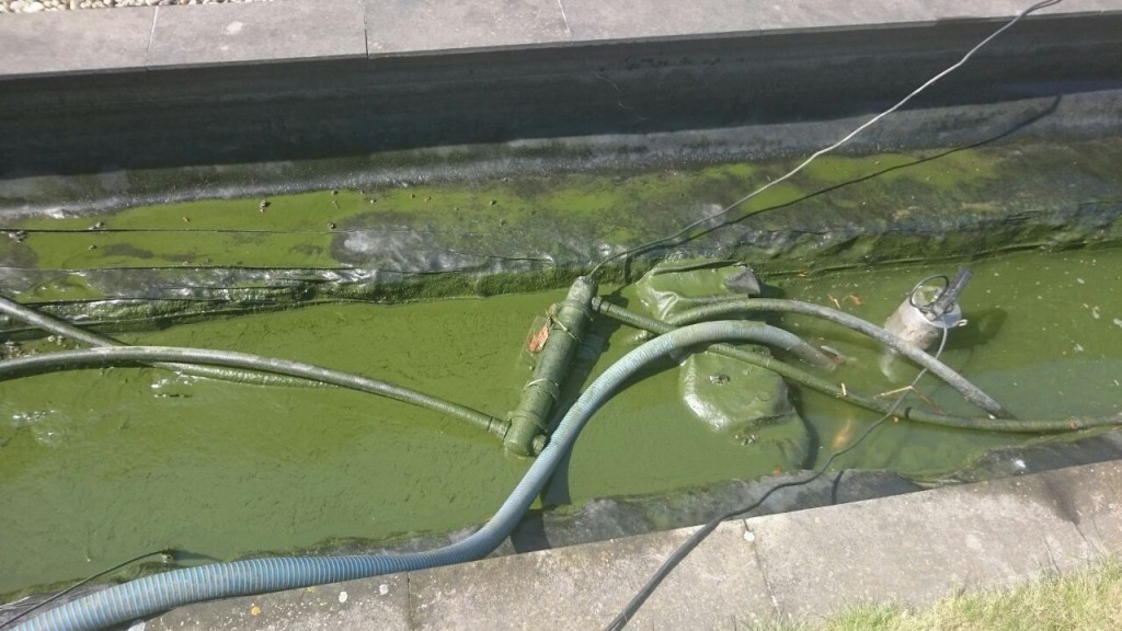 Groene vijver of troebele vijver tegengaan | Vijveronderhoud Ton ...